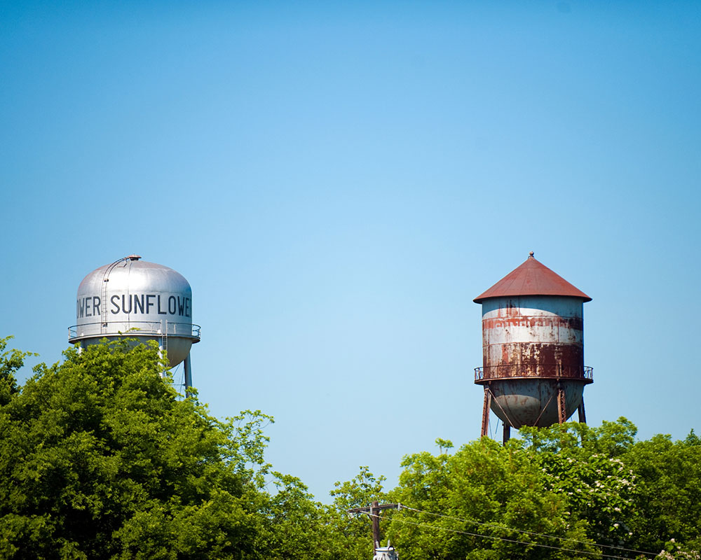 MSU receives $4 million in NSF EPSCoR funding to study Mississippi ...