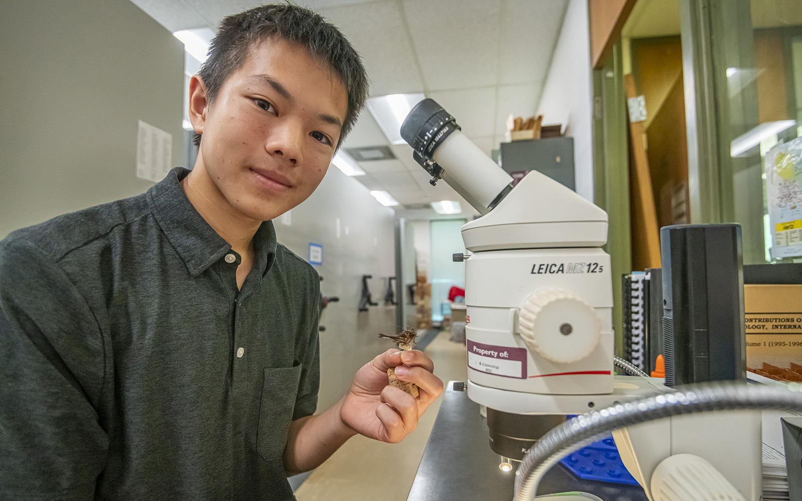 MSU hosts Manhattan high school student for immersive entomology internship | Mississippi State ...