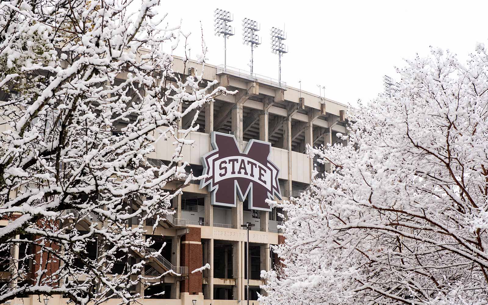 MSU closes campus, moves classes online for Tuesday, Feb. 16 due to ...