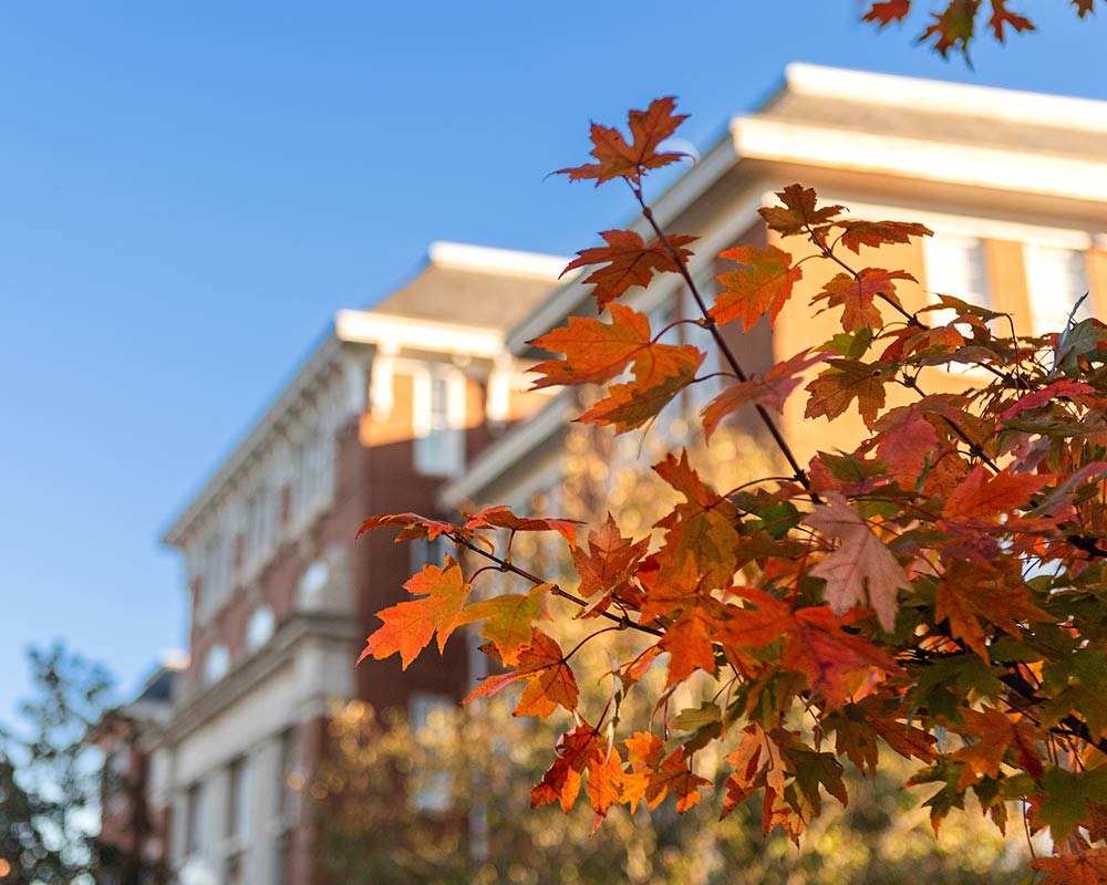 MSU announces Thanksgiving holiday closure | Mississippi State University