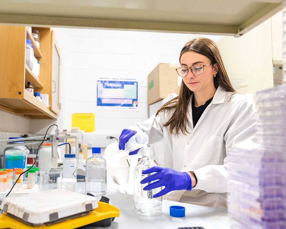 MSU students encouraged to pursue undergraduate research opportunities ...