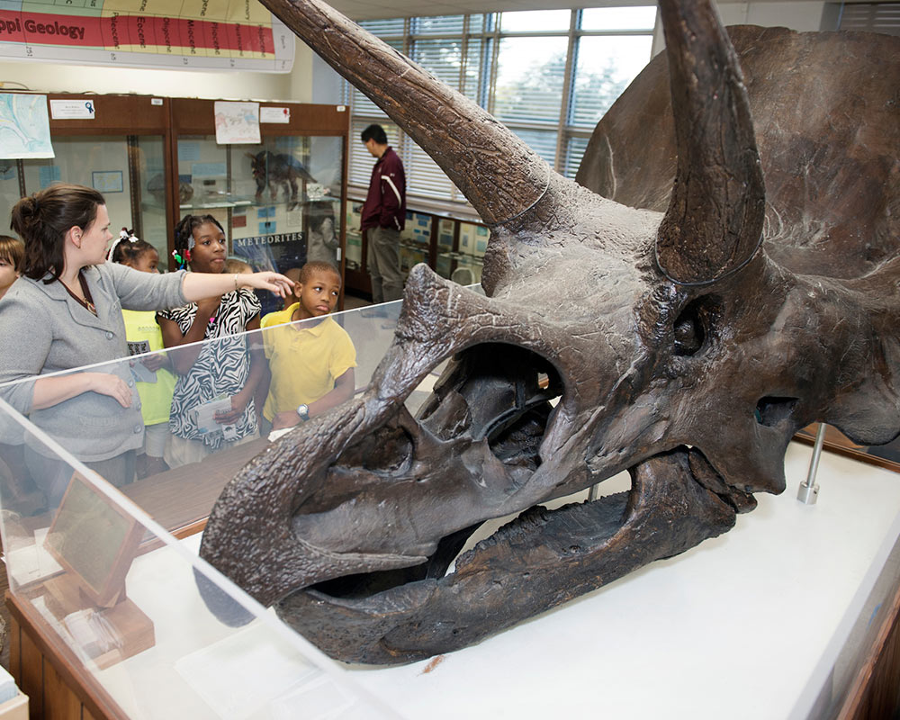 Celebrating National Fossil Day: Name that dinosaur contest, virtual ...