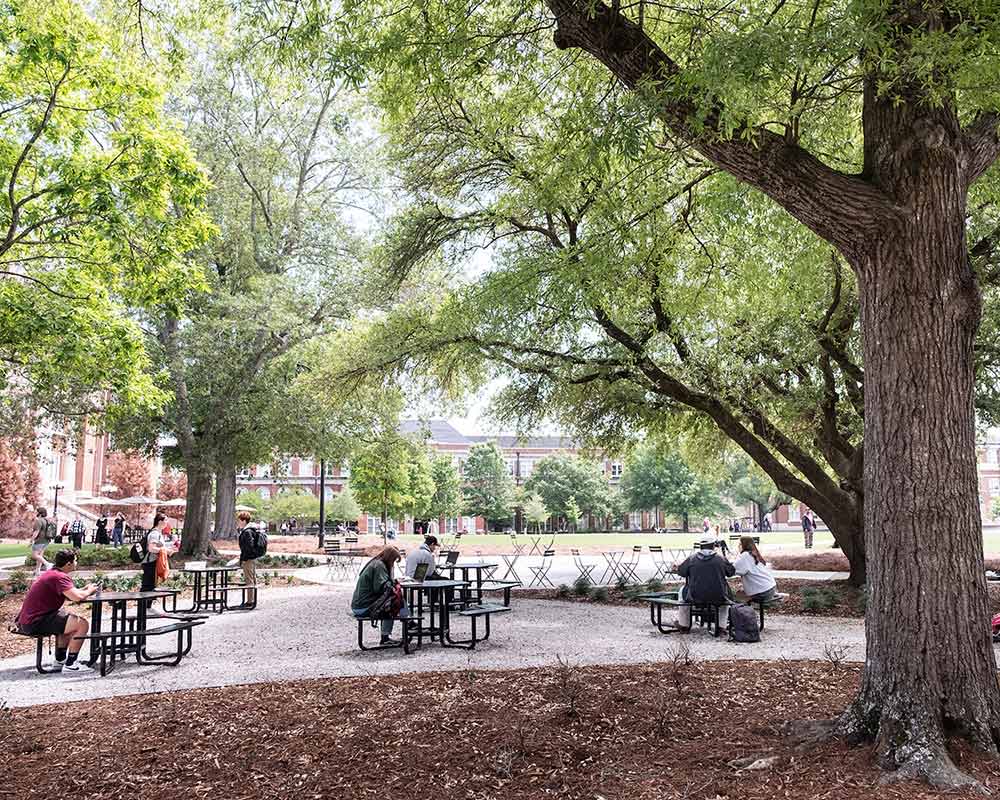 MSU invites students to experience the Summer Advantage | Mississippi ...