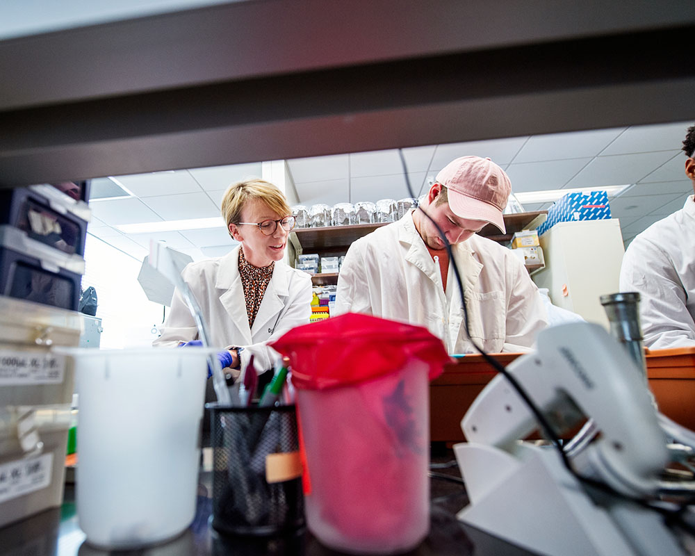 MSU receives $8 million NSF grant to boost Mississippi science ...