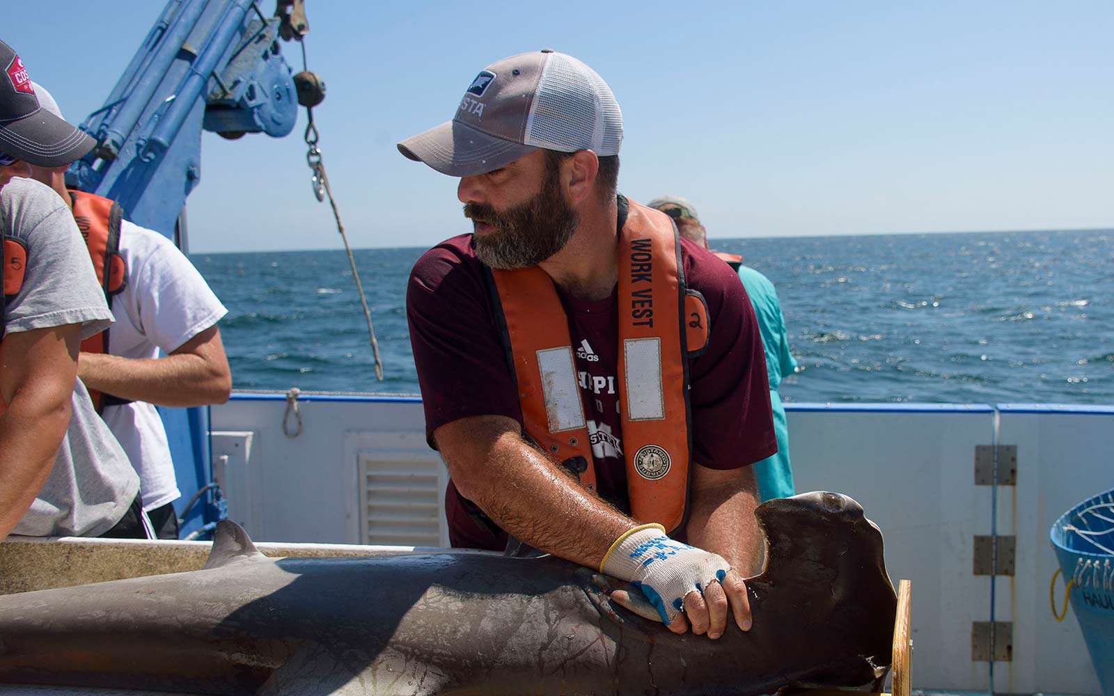 MSU's Drymon in The Conversation: Sharks are taking a bite out of ...