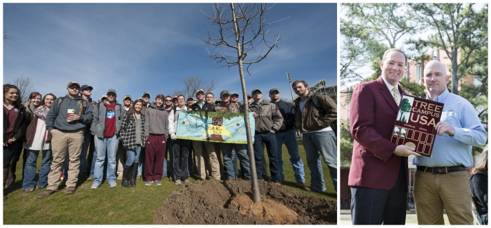MSU celebrates Tree Campus USA designation with Arbor Day observance ...