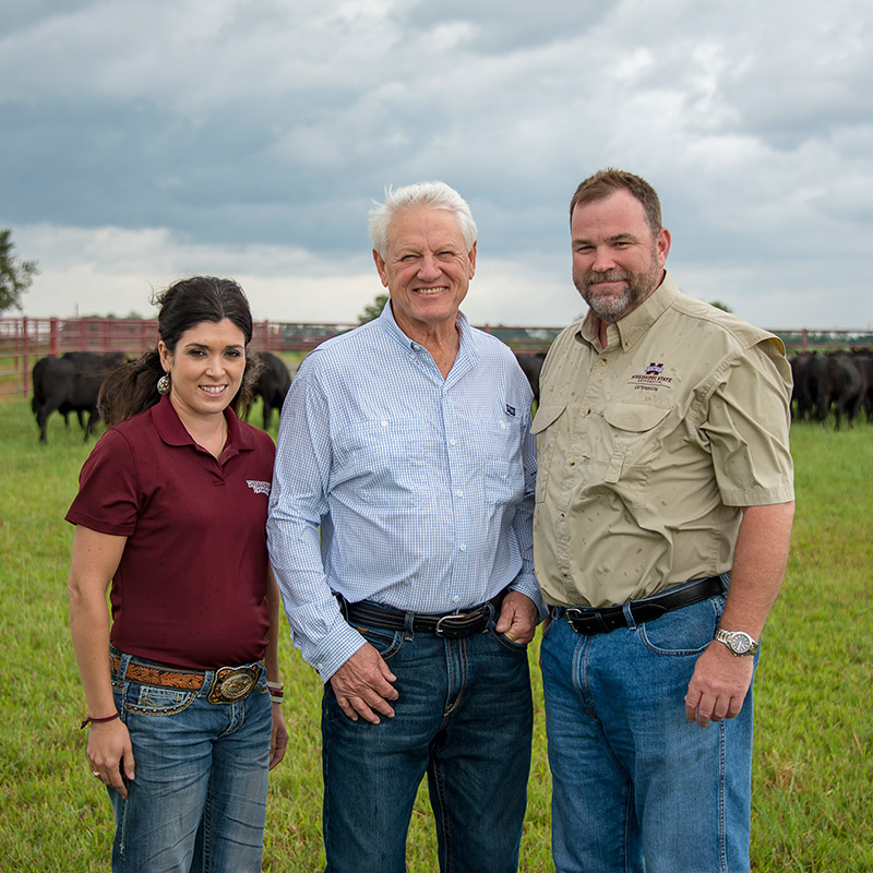 MSU professorship focuses on beef cattle production in the Southeast ...