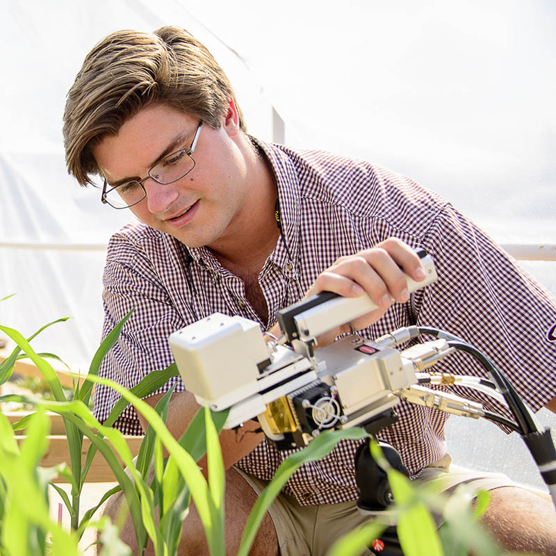 MSU agronomy student provided ‘Golden Opportunity’ | Mississippi State ...