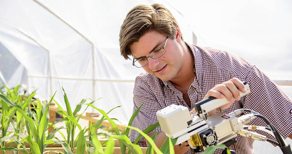 MSU agronomy student provided ‘Golden Opportunity’ | Mississippi State ...