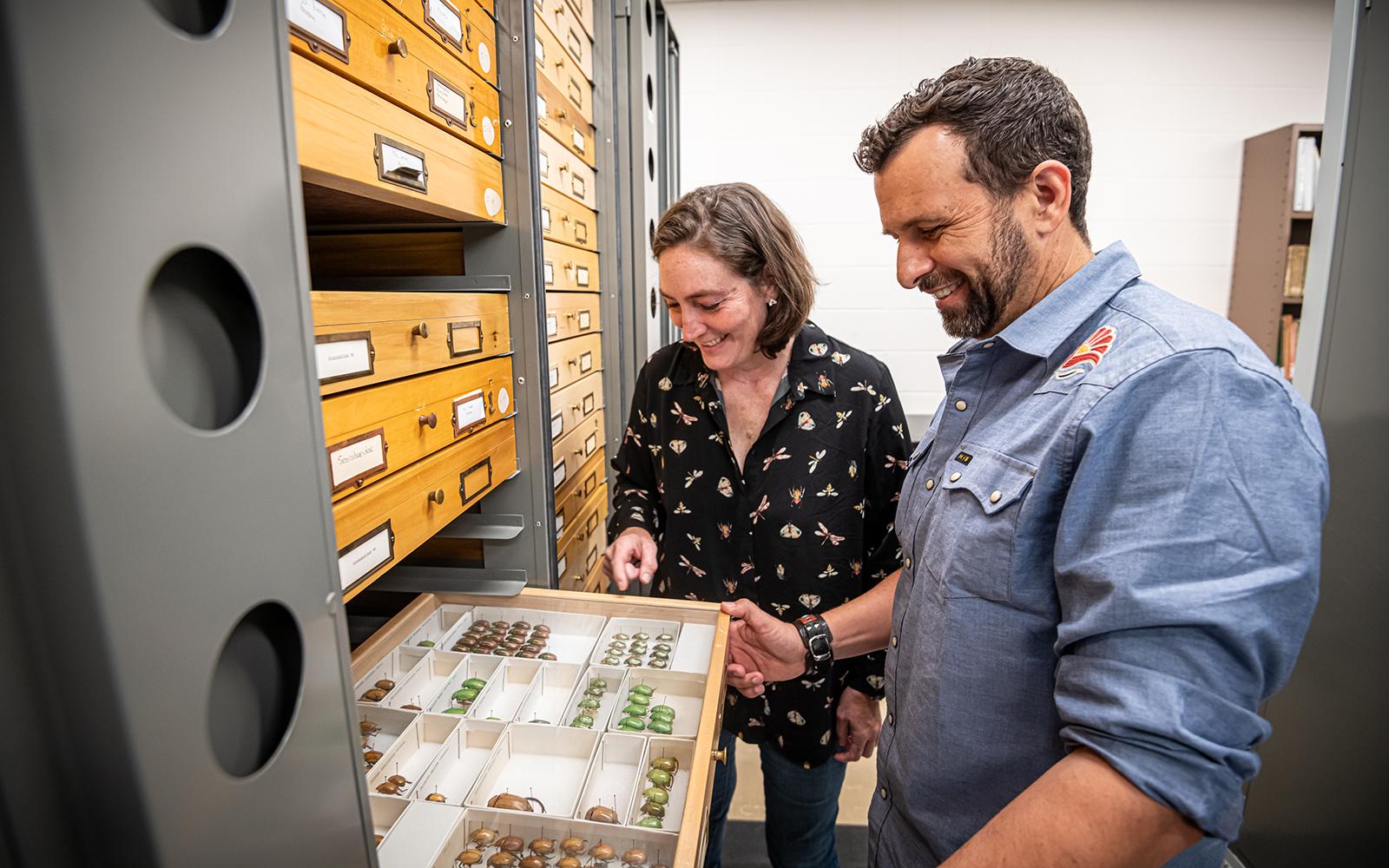 First line of defense: USDA funding MSU’s fight against destructive ...