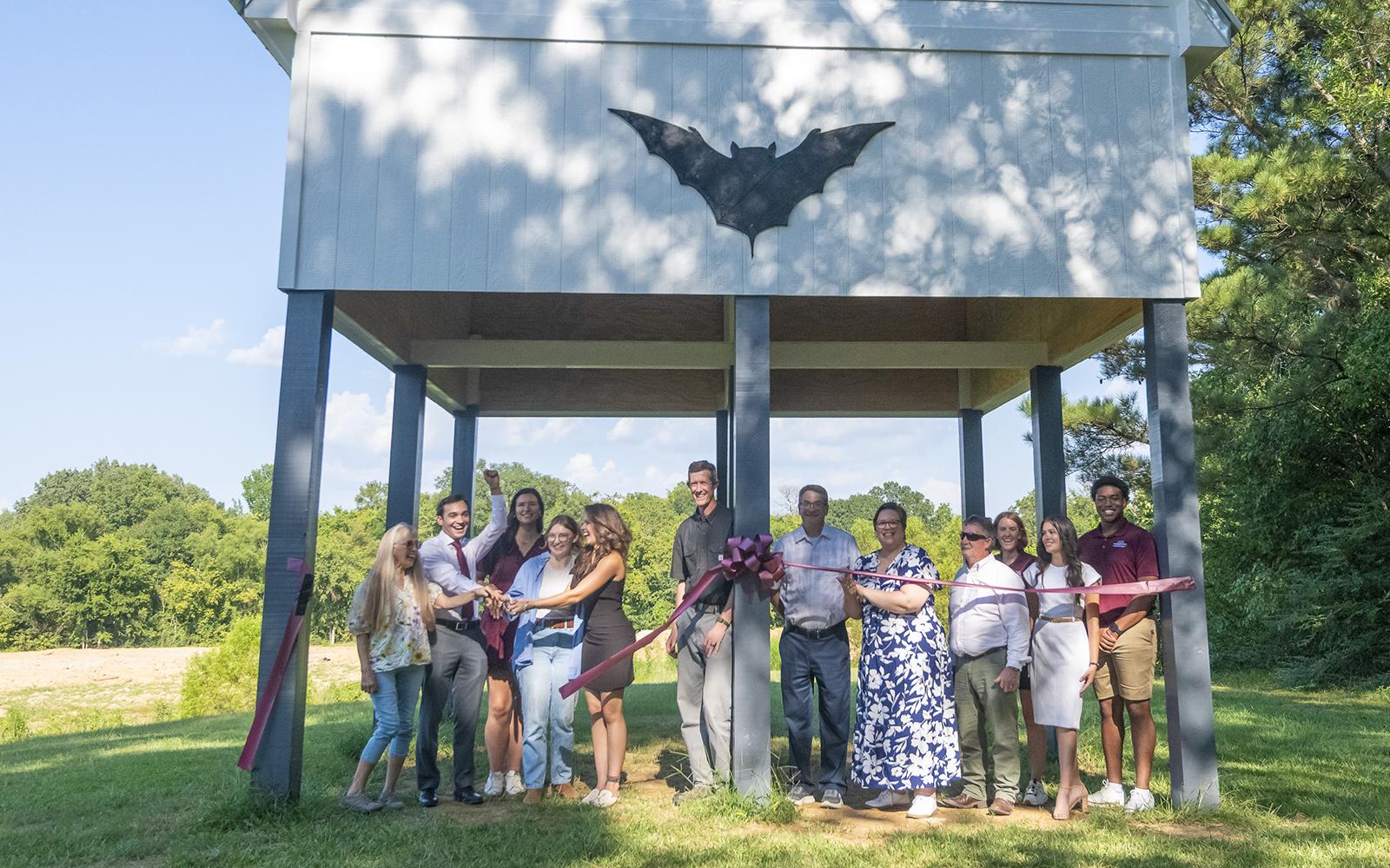Student project builds safe habitat to relocate, protect local bats at ...